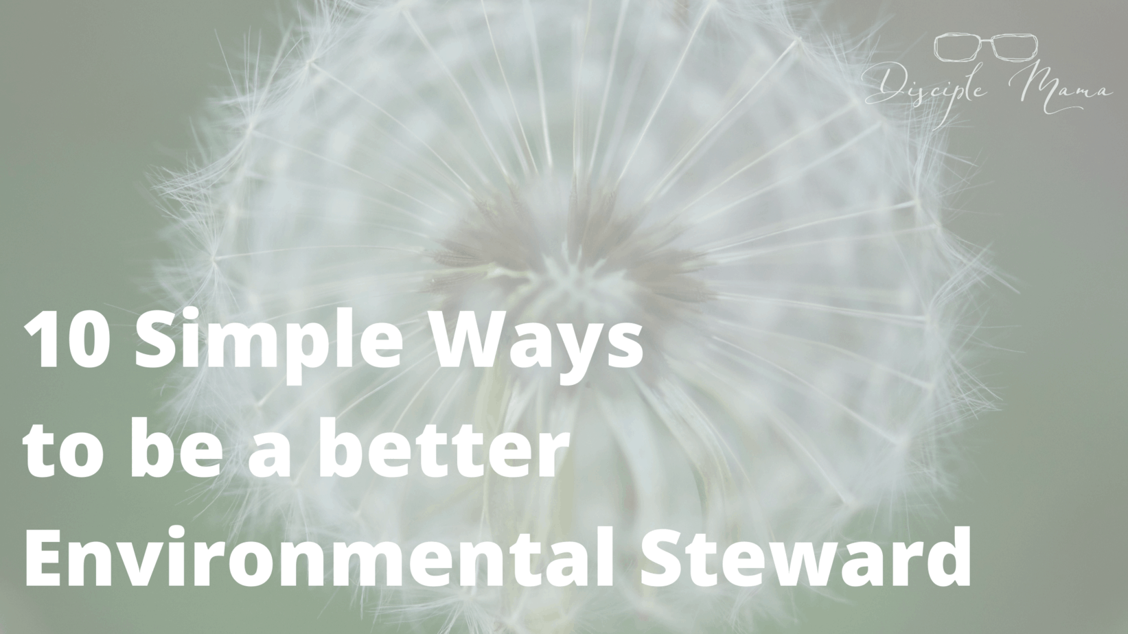 10 Simple Ways to be a Better Steward of the Environment - Disciple Mama